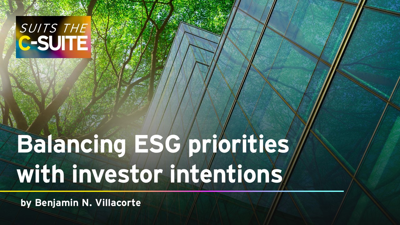 For the CSO | SGV & Co. | EY | Professional Services Firm