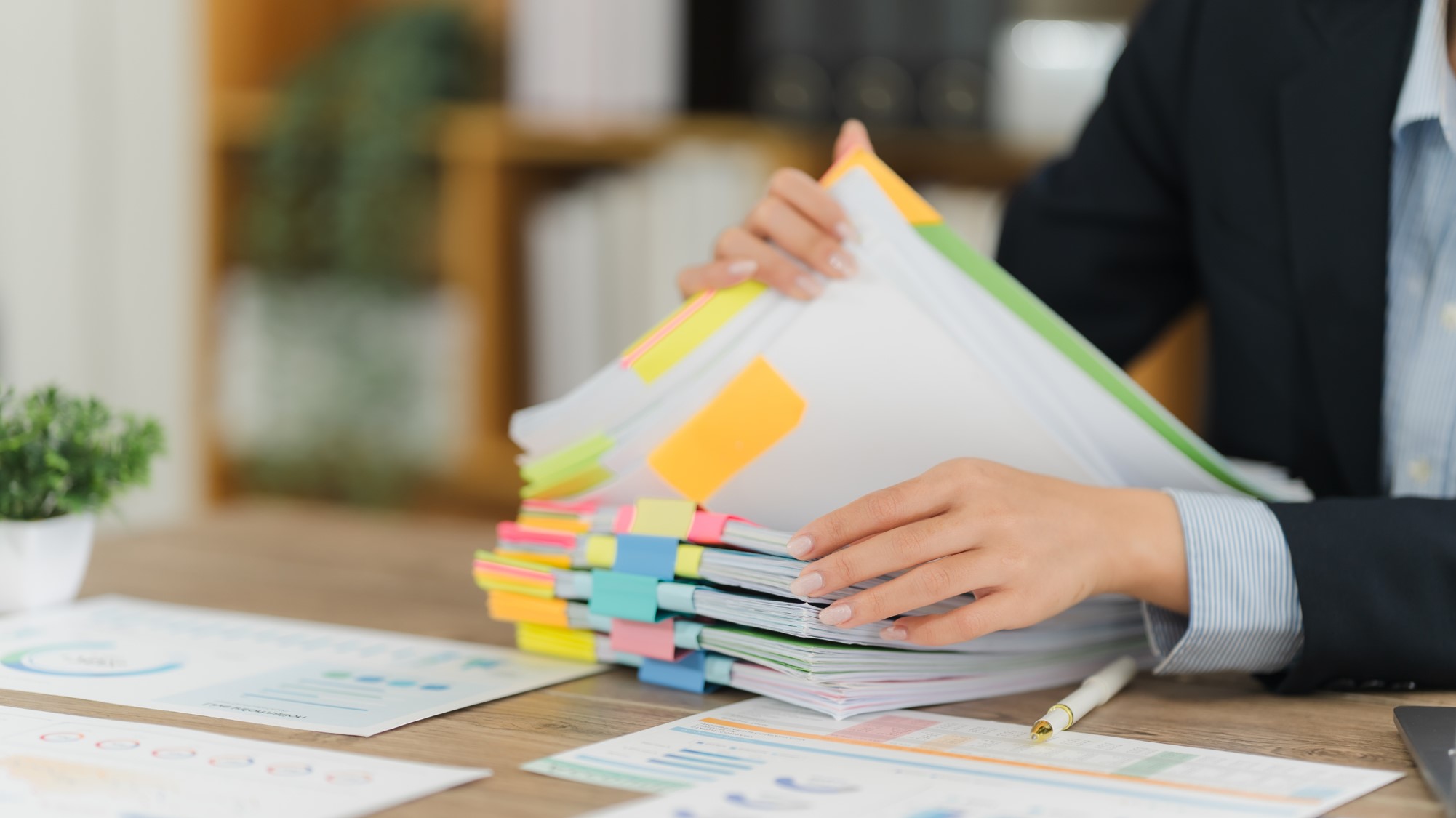 Navigating the Draft General Tax Amnesty Bill: Opp | SGV & Co. | EY ...